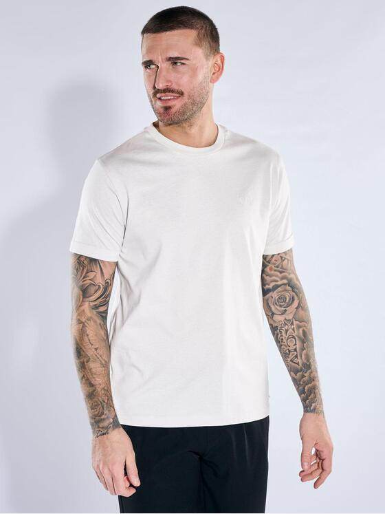 Herren emilio adani Rundhals T-Shirt in Hellgrau kaufen 40075 | engbers.com
